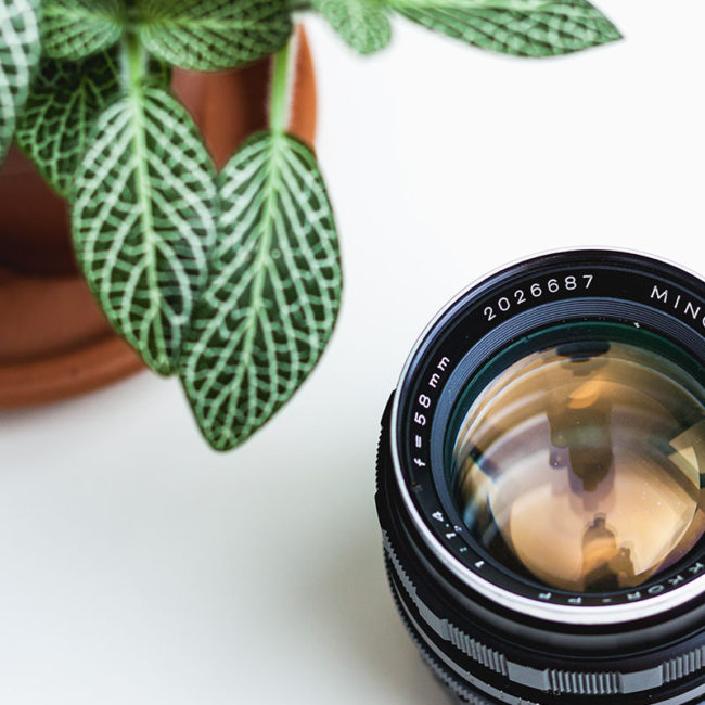 Products – Tech Weave